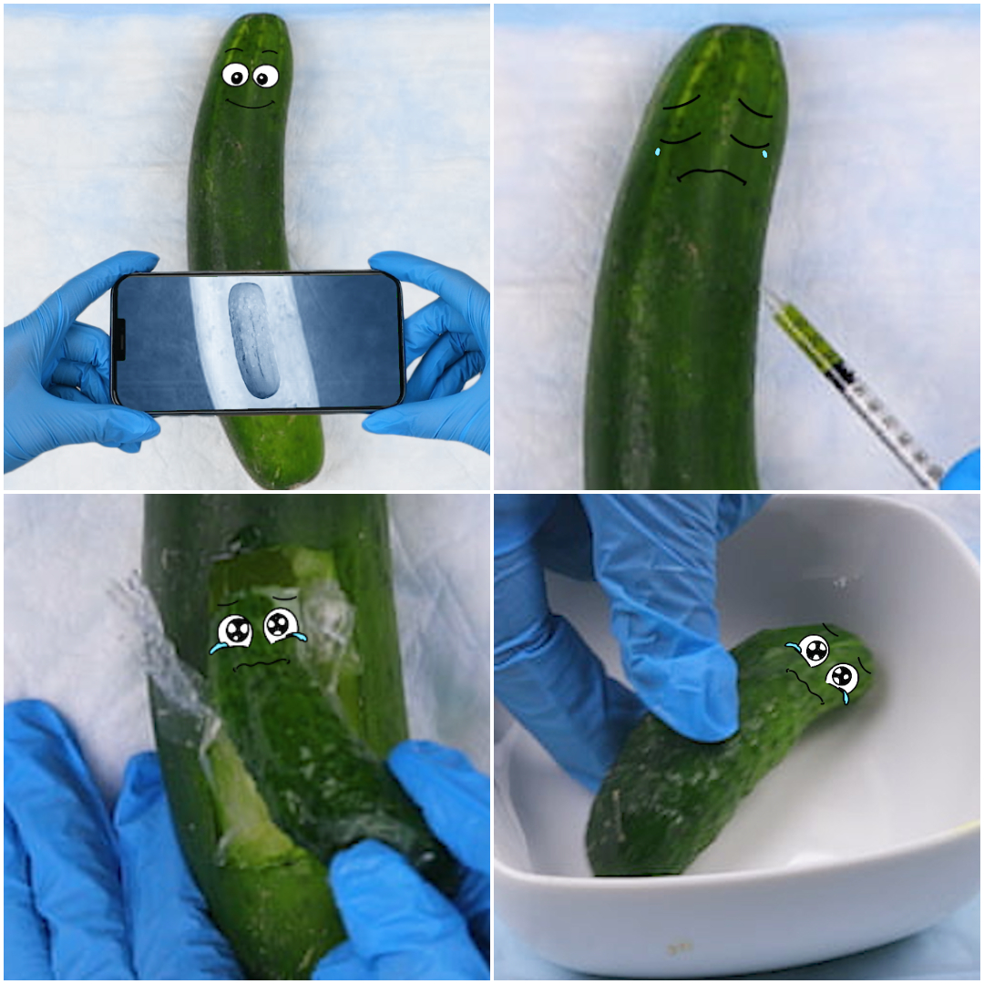 It’s a baby cucumber 🥒💚