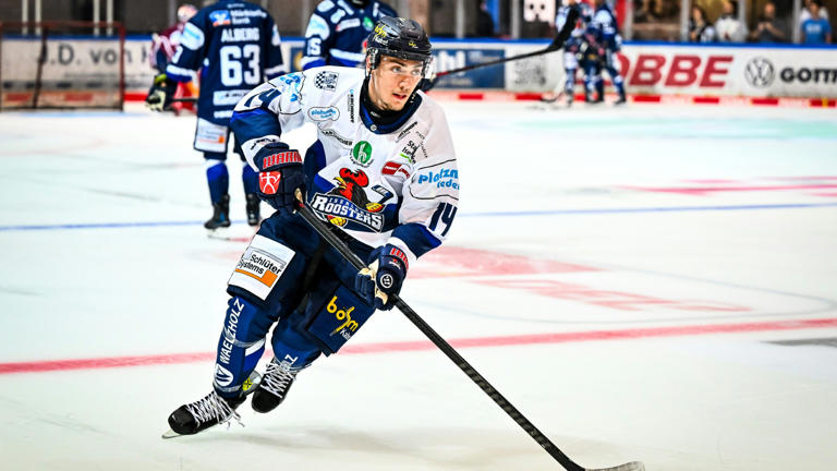 Eishockey: DEL - Eisbären holen Saffran aus Iserlohn