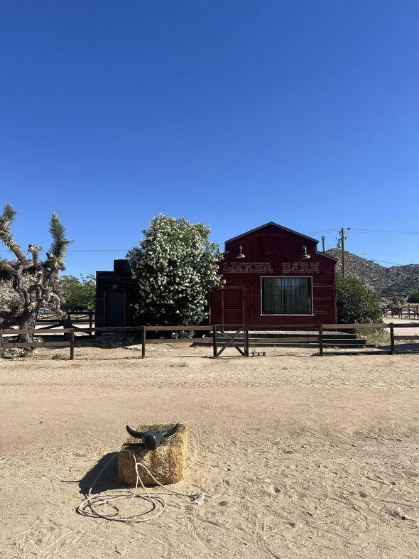 I visited frozen in time town loved by celebrities that's a real-life ...