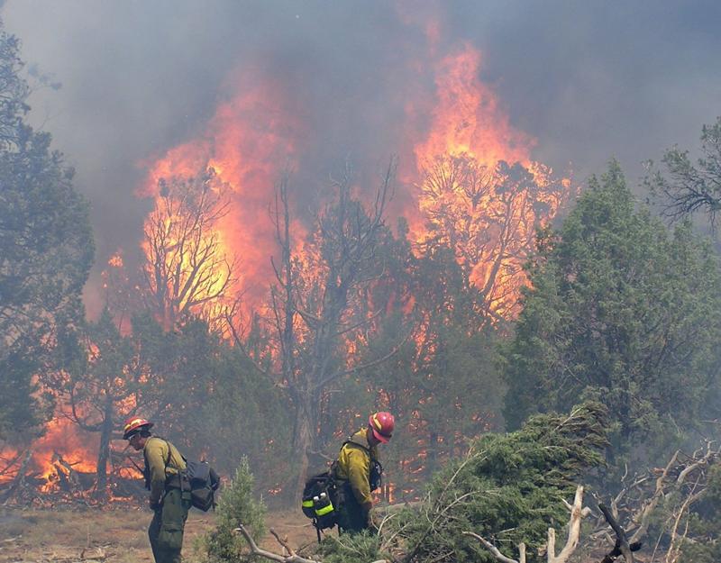 Wildland firefighters face higher death, injury risk as wildfires grow