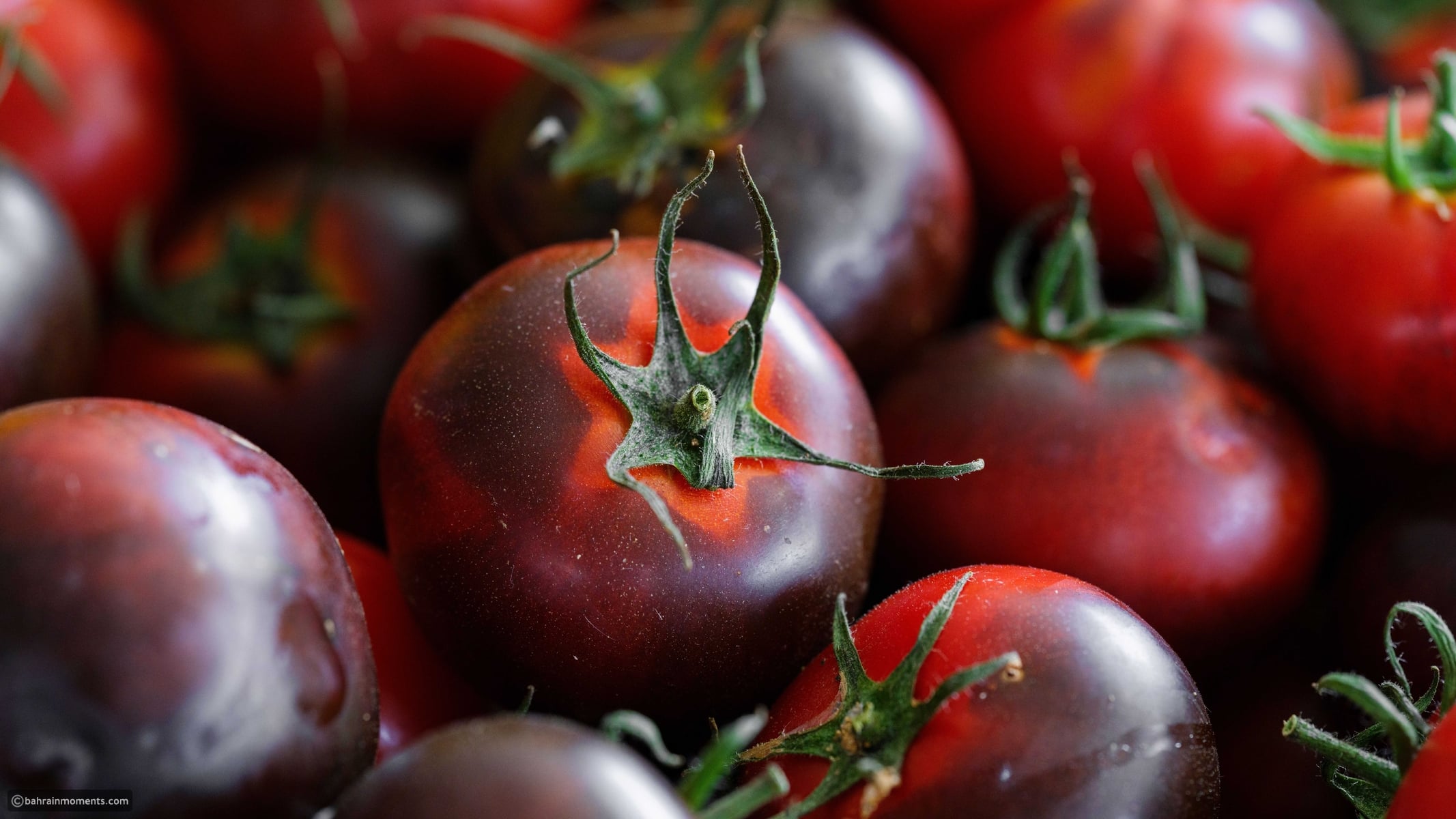 10 heirloom ingredients that define traditional regional cooking cultures