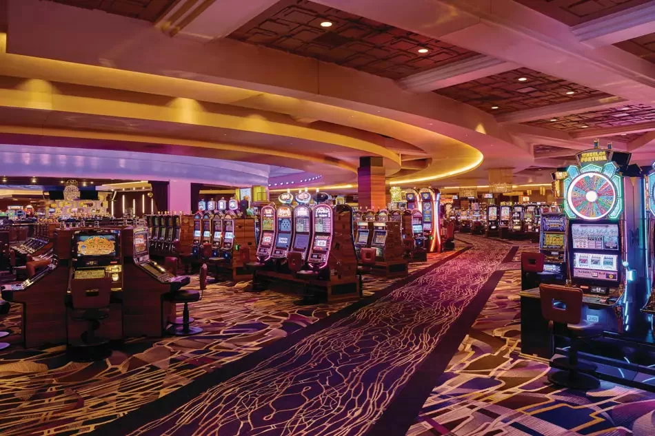 Sale da gioco, bingo e punti scommesse: un settore da riordinare per ...