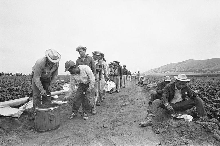 The resurgence of Bracero logic