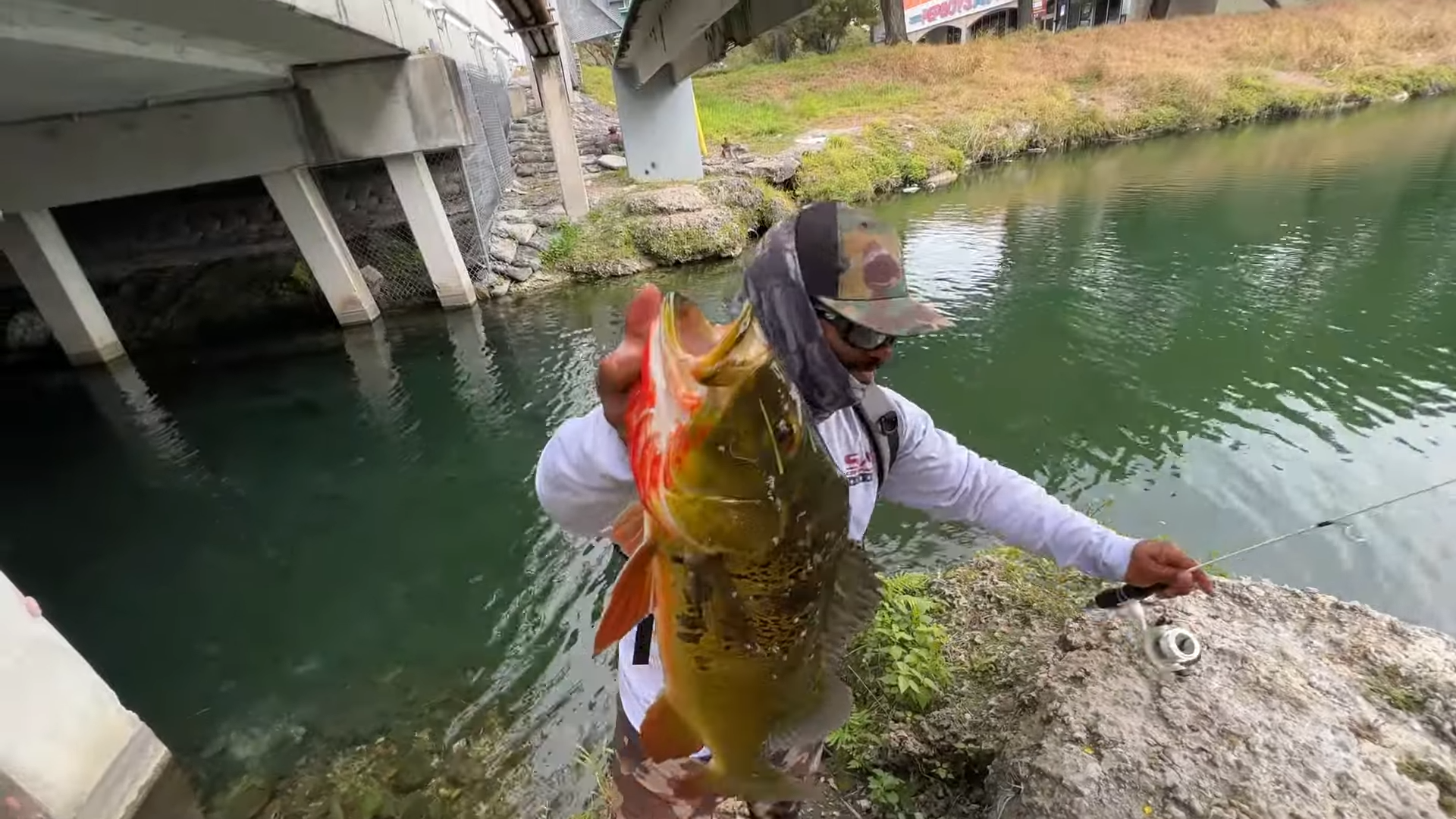 This is what happens when mini rods face monster fish