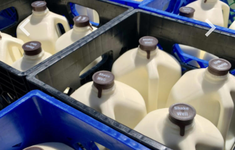Raw milk tycoon earning $30M a year admits he has put children in ...