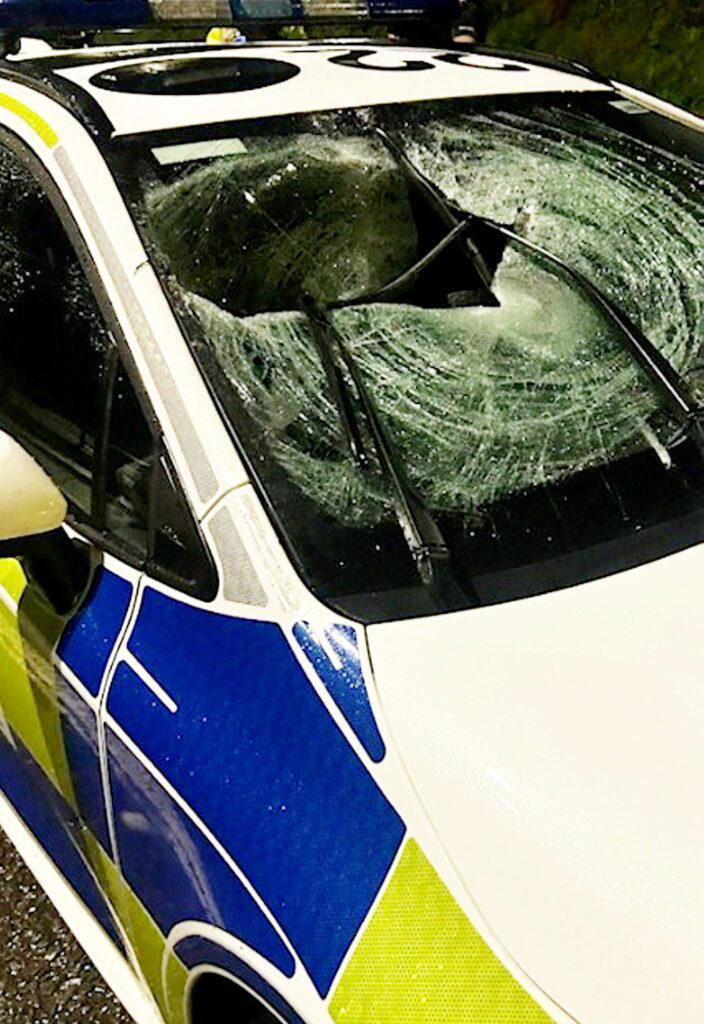 Teen threw wheelie bin off bridge at police car