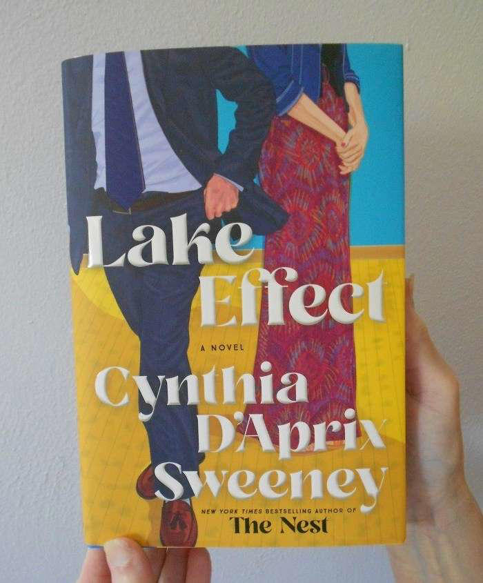 Lake effect book review and why you need this 1970s drama