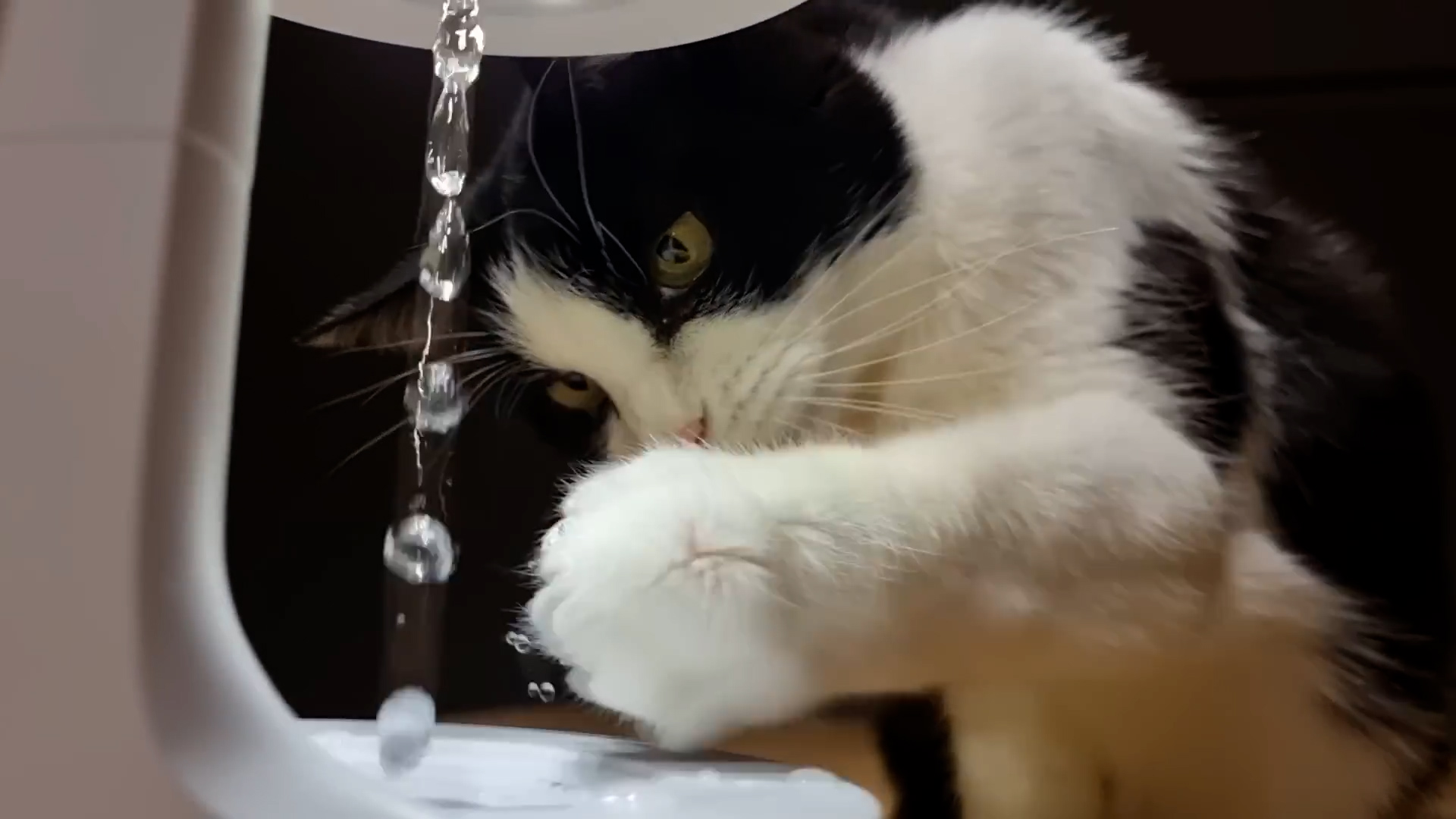Why is this water drop defying gravity?