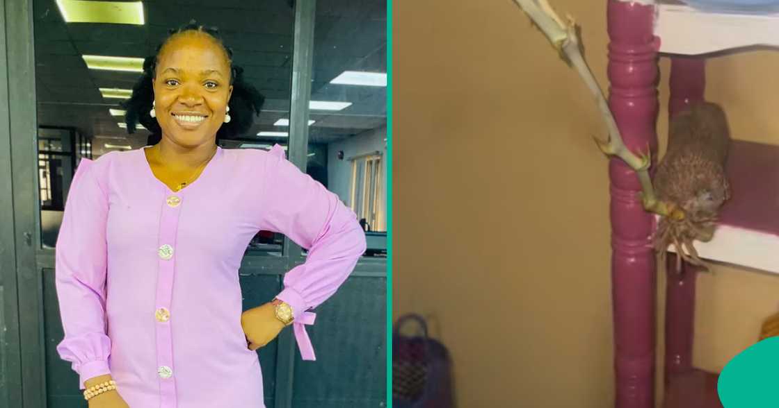 Lady returns home from 2-month trip to see something mysterious growing ...