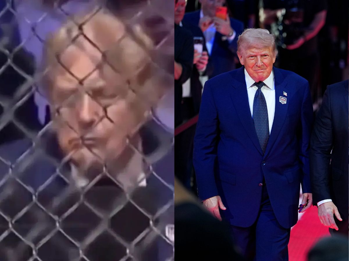 Fact check: Did Donald Trump doze off during UFC Freedom 250 on White ...
