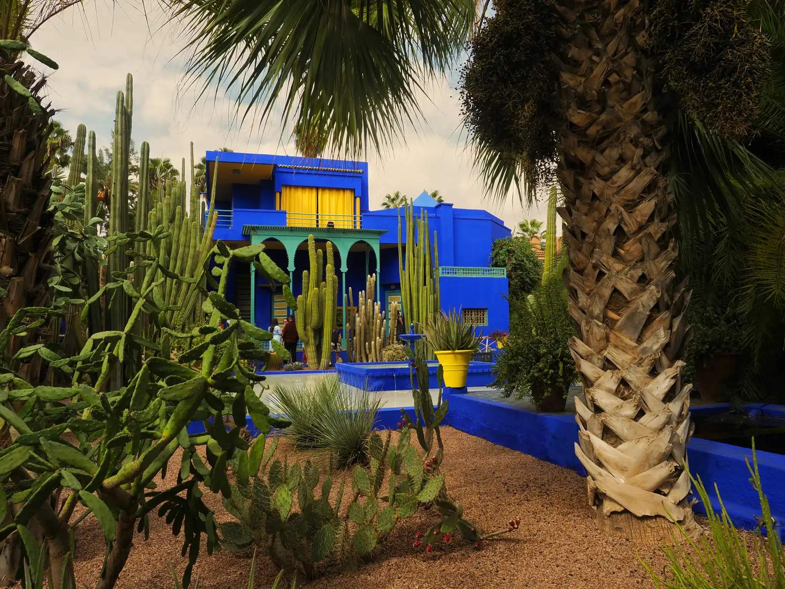 Jardin Majorelle in Marrakesh: Where artistic design shapes an exotic ...