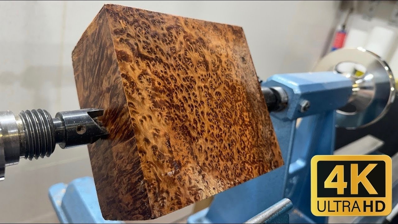 This looked like an ordinary piece of timber... seconds later, it ...