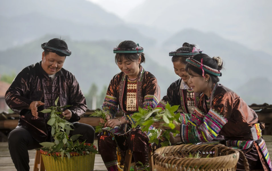 Medicinal plants bridging tradition and science