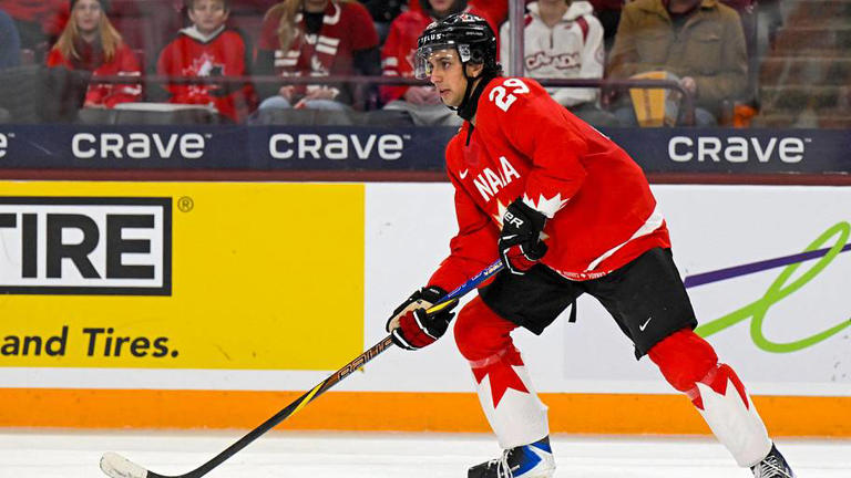 Montreal Canadiens should view Michael Hage as untouchable except for ...