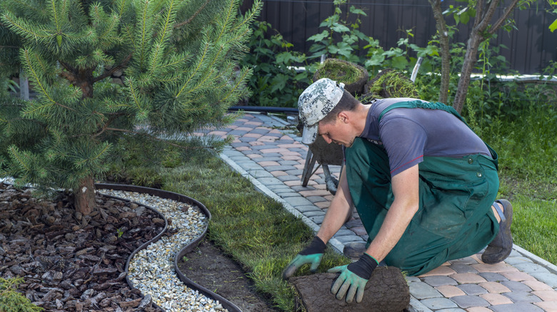 Skip standard gravel: This more modern, weed-resistant landscaping ...