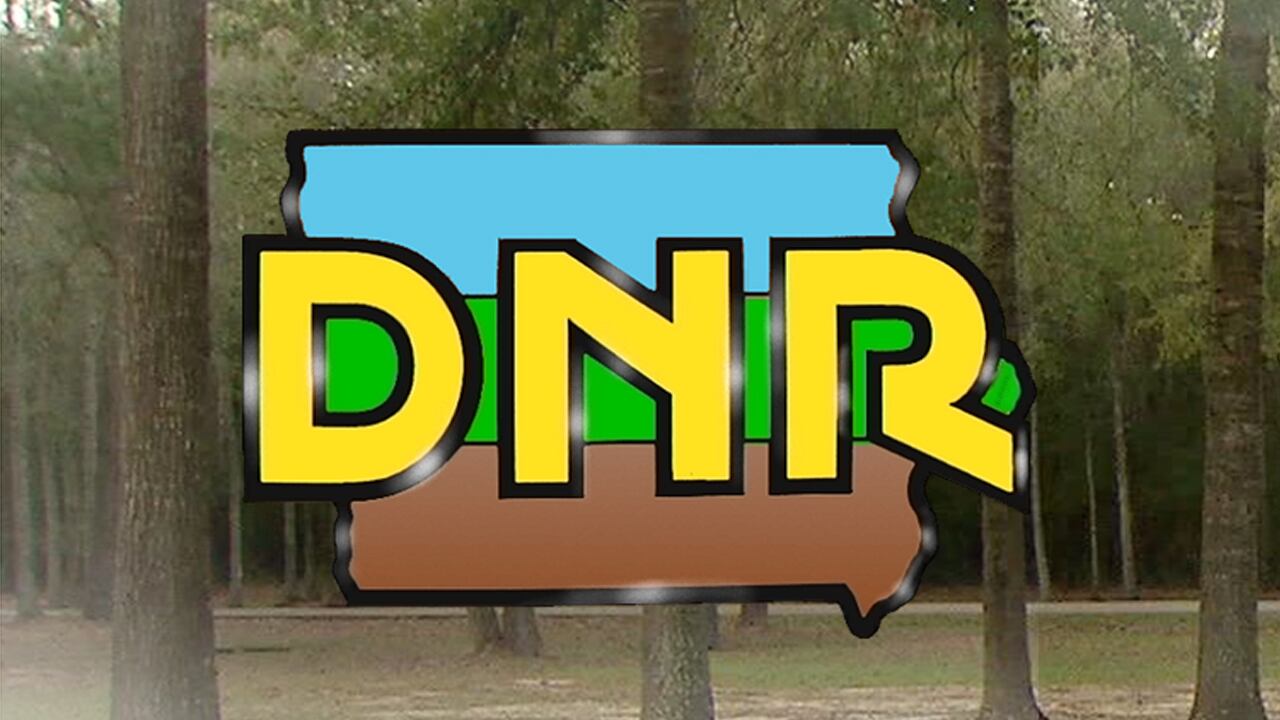 Iowa DNR flags 8 beaches for high bacteria levels