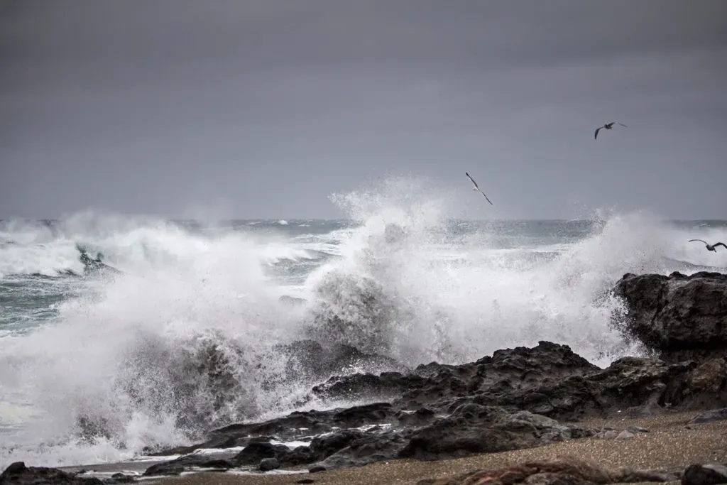 How seasonal storms are reshaping coastal wildlife habitats