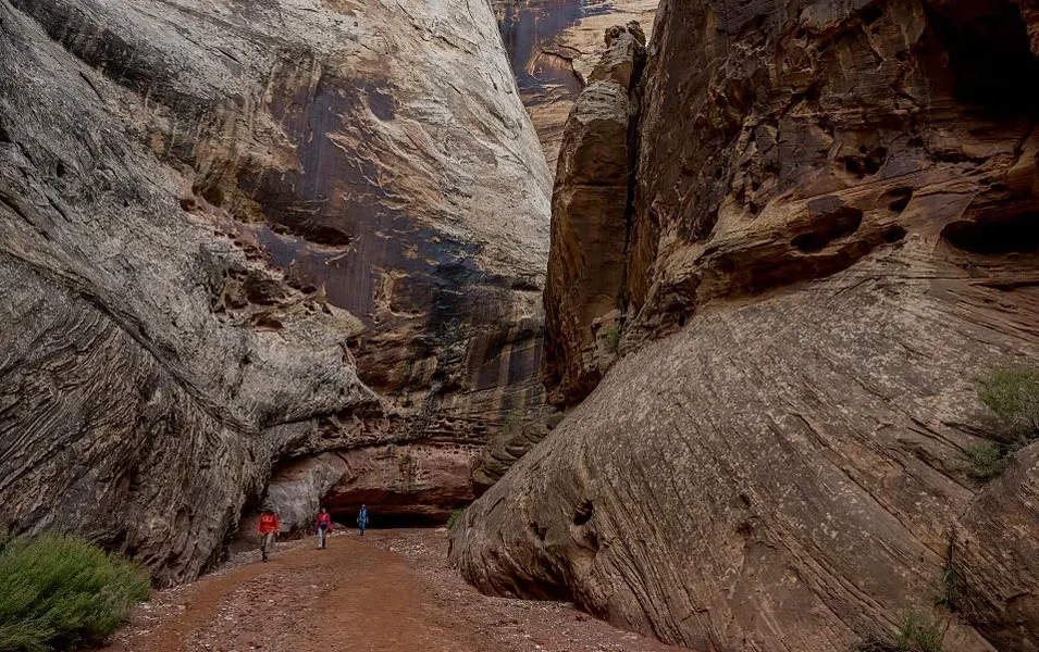 Hiking challenges and scenic trails draw global attention