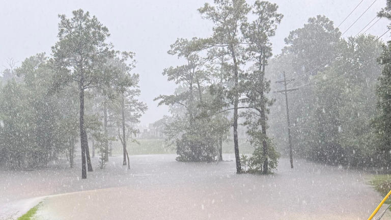 Heavy rain causes flooding, road closures across South Mississippi