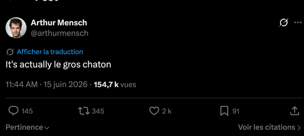 C’est quoi Le Chaton Fat, le « modèle » de Mistral AI qui affole les ...