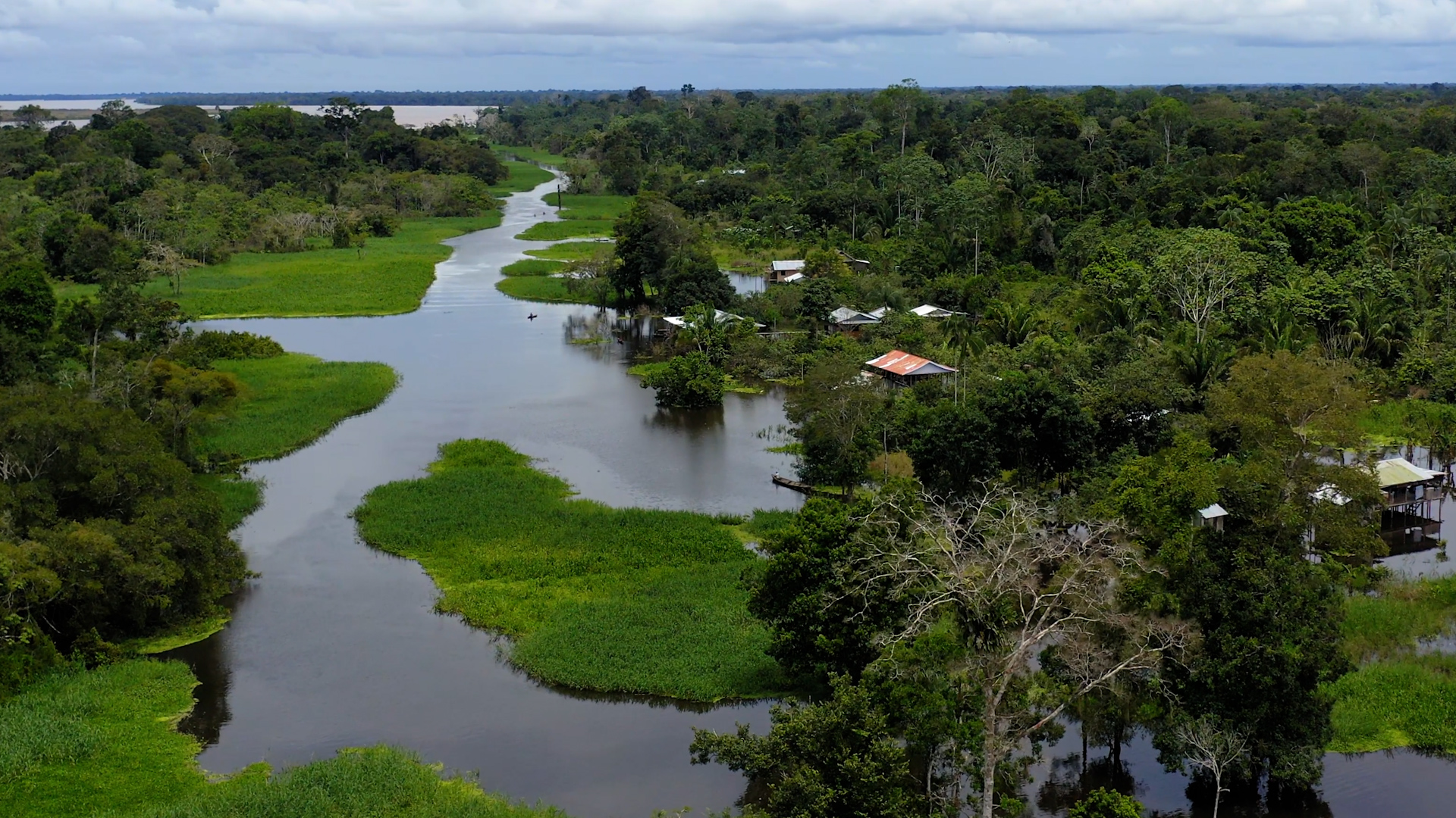 Amazon rainforest explored by drone