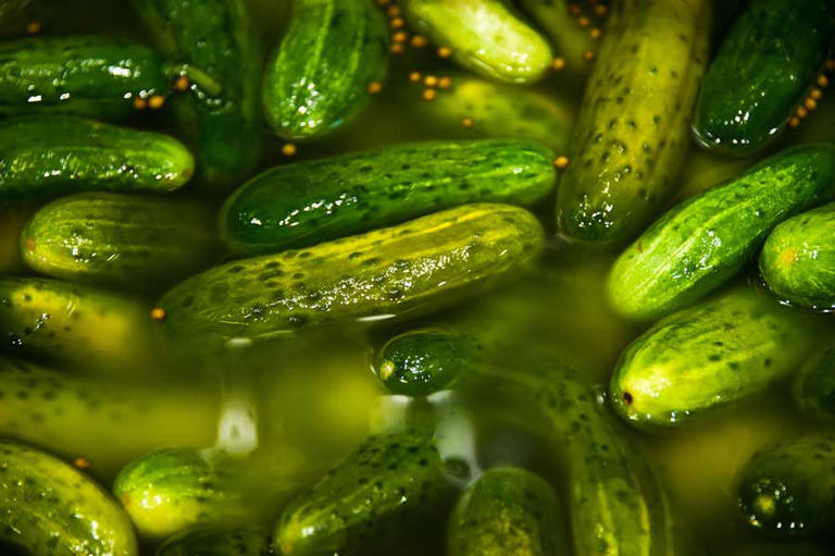 Pickle is the pumpkin spice of summer