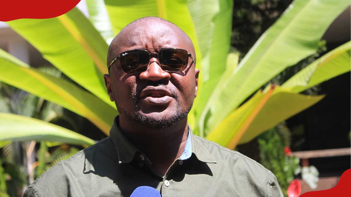 Nairobi MCAs demand arrest of Wanjiku Muhia over remarks ahead of Ol ...