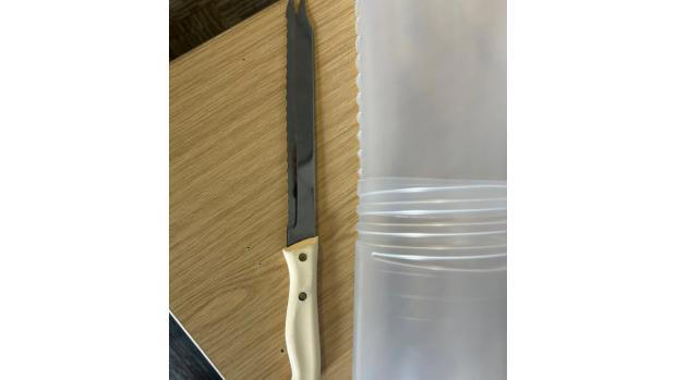 Member of public finds large kitchen knife in bushes - what police have ...