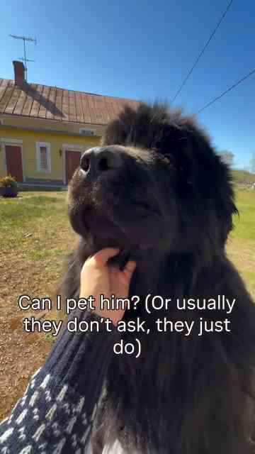 I’m considering putting a sign on him with all the answers