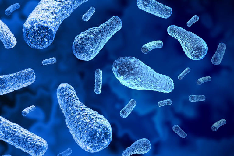 Powdered baby formula recalled after infant botulism outbreak across 3 ...
