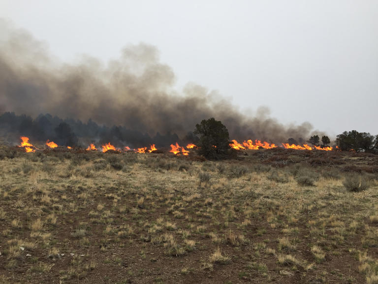 Oregon is one ballot away from criminalizing hunting and fishing and ...