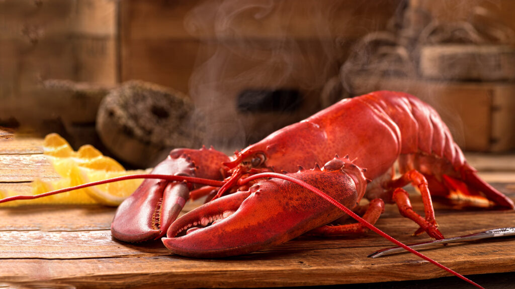 How lobster went from poor to rich