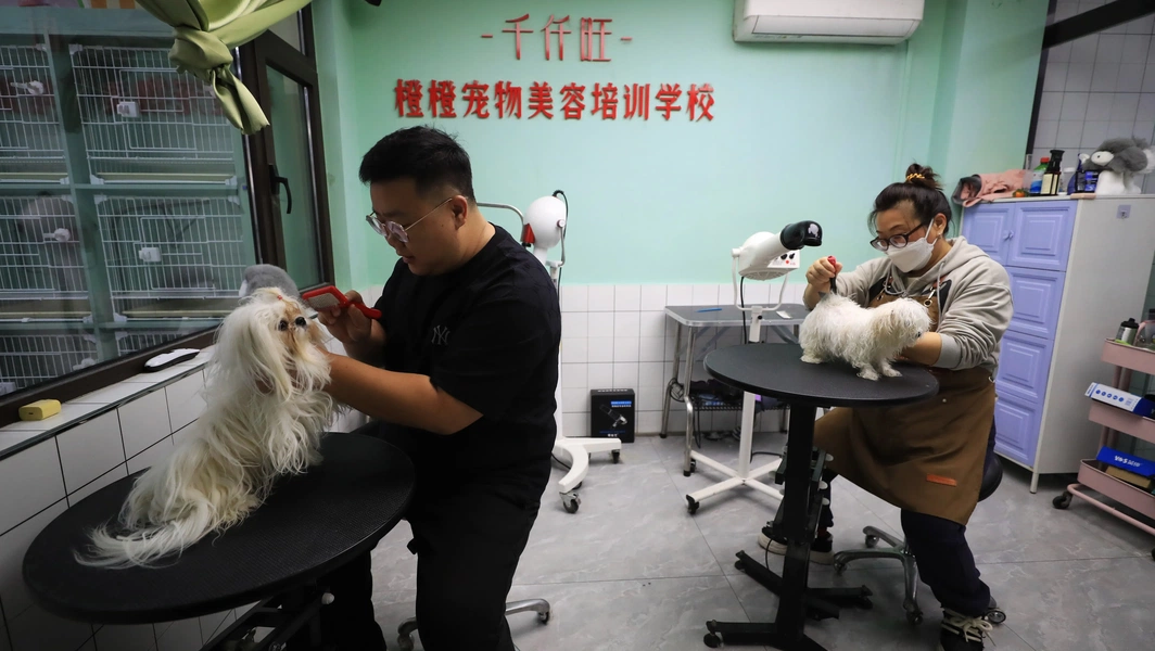 New guidance reframes pet grooming as key to emotional bond