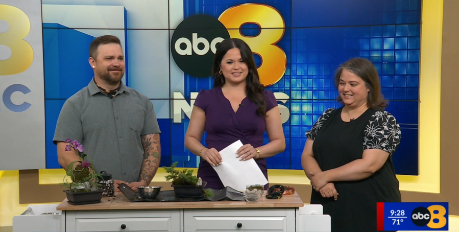 8News chats with Lewis Ginter about Kokedama class