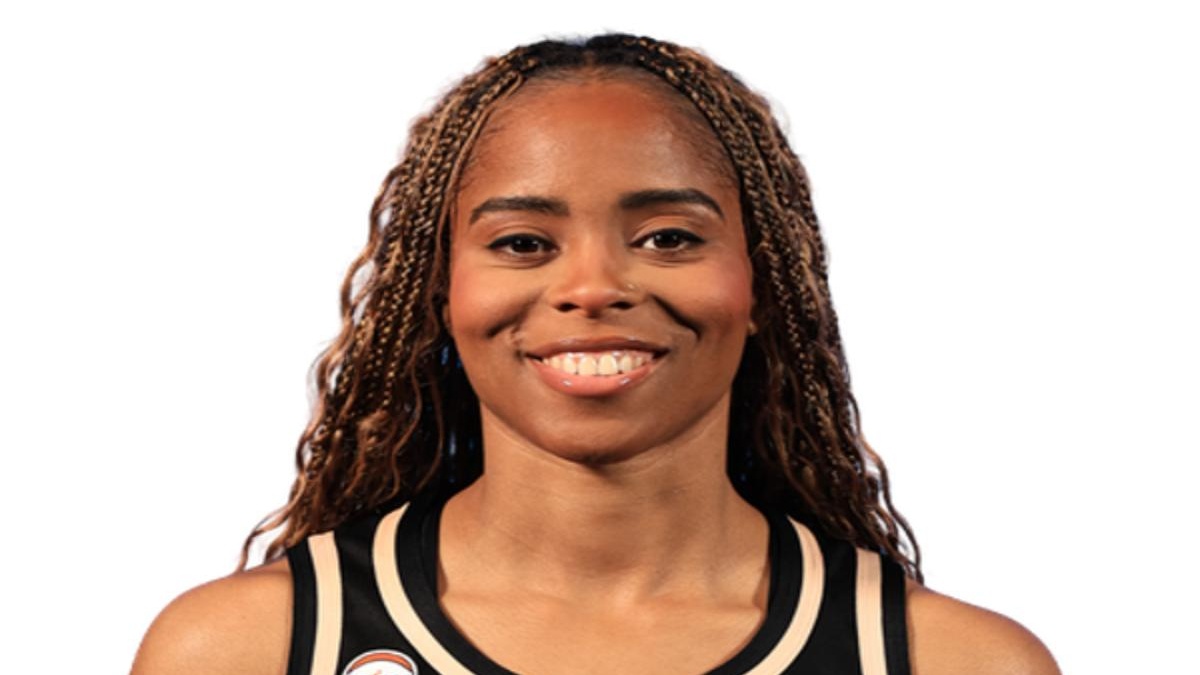 WNBA defensive stars ranked: The 10 best ball hawks dominating the ...