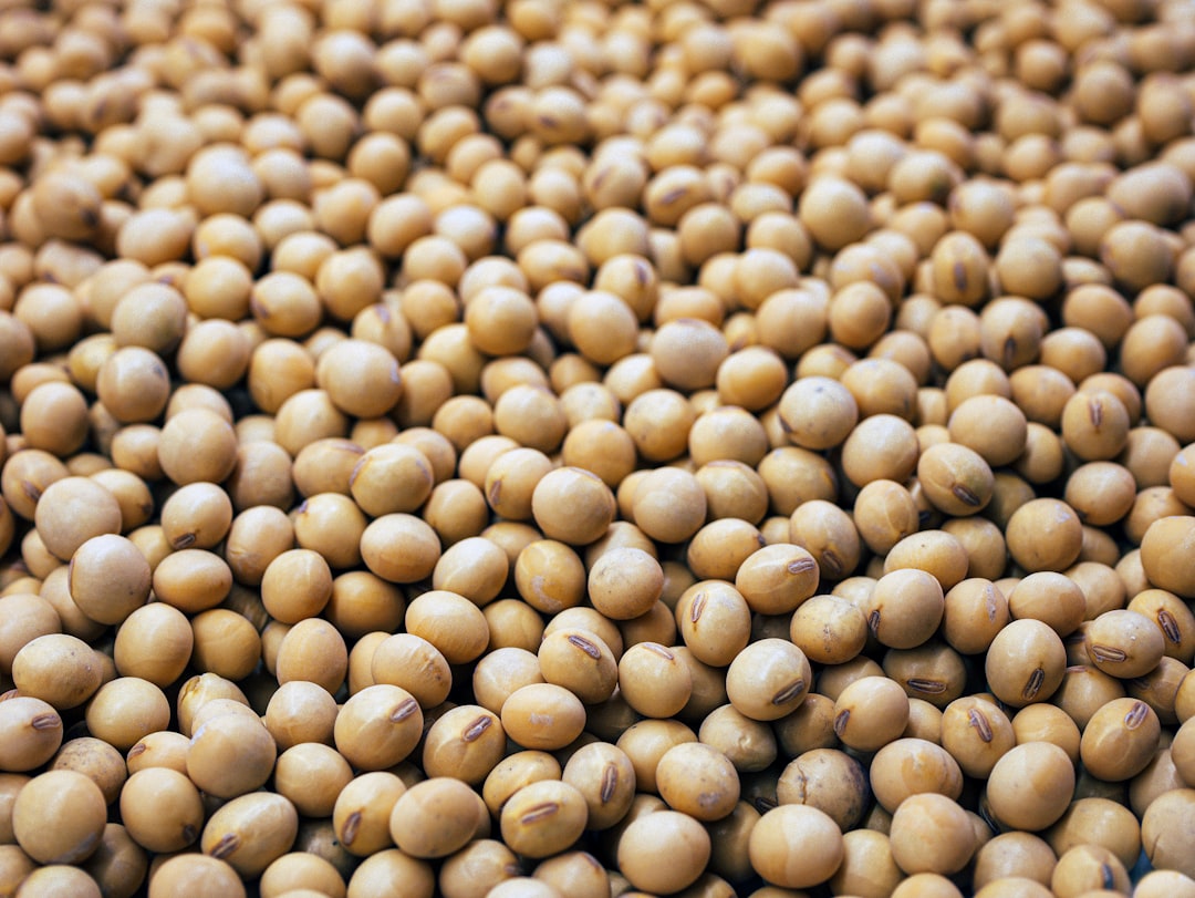 Plant protein synthesis: The role of soy isoflavones and digestibility ...