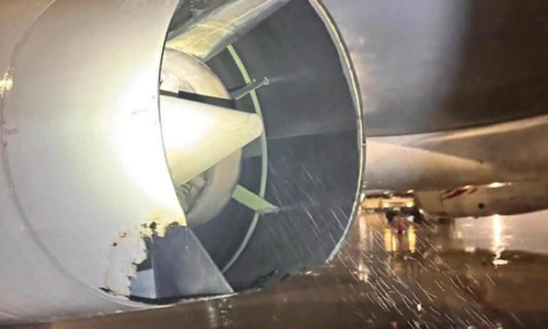 SriLankan Airlines plane struck by lightning strike - ripping part of ...