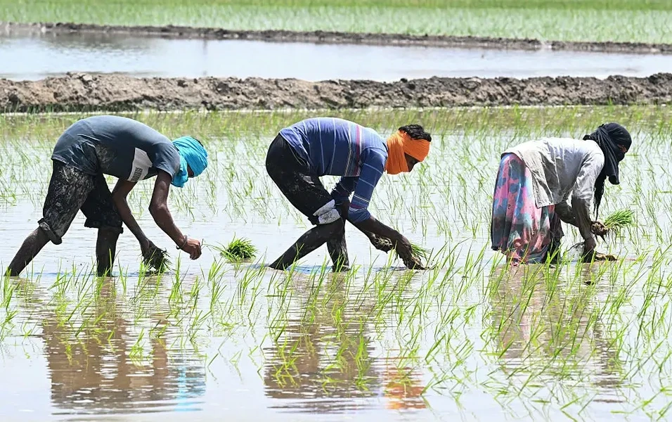 IMD warns El Niño may turn strong by September, eyes farm risks