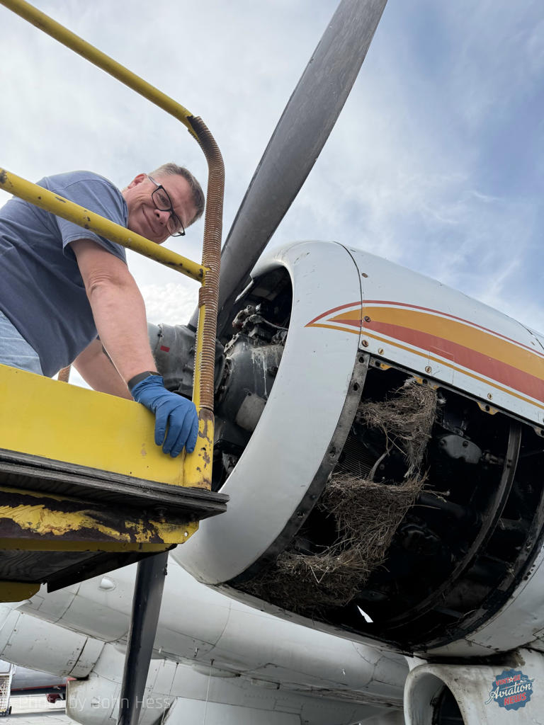 Liberty Foundation adds rare Douglas B-23 Dragon to historic fleet