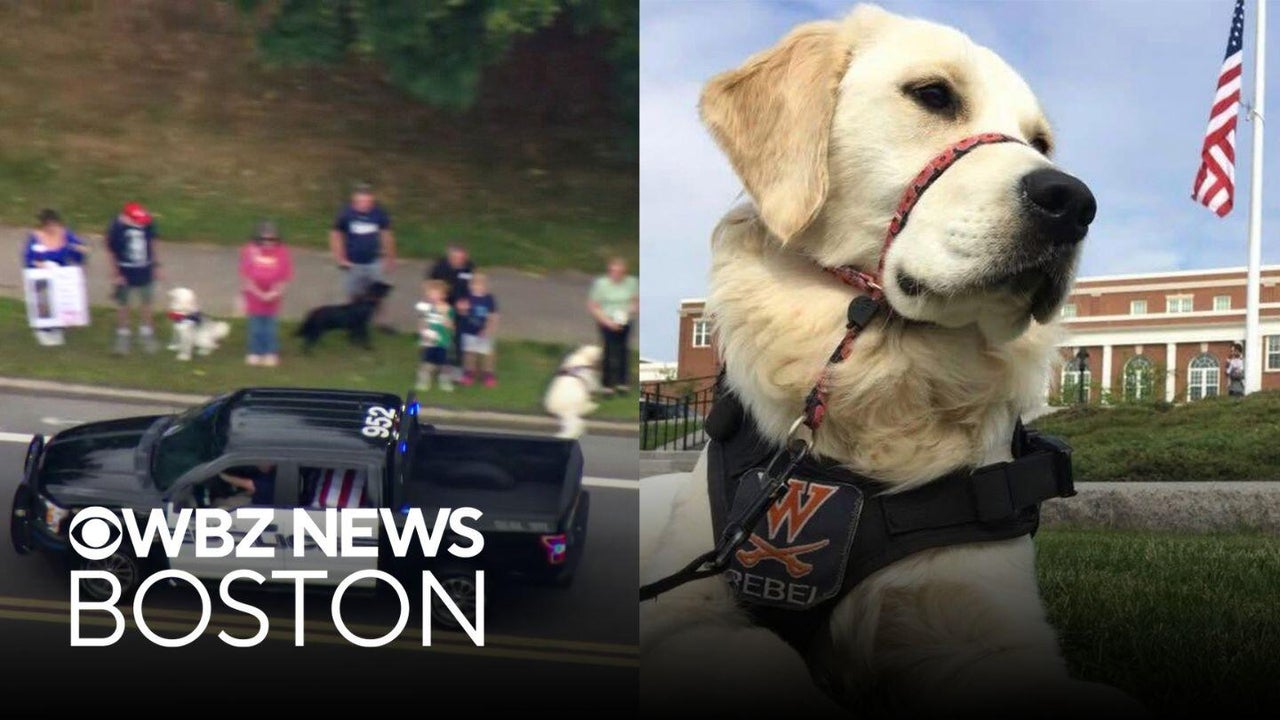 Procession honors Walpole police dog that died in tragic accident