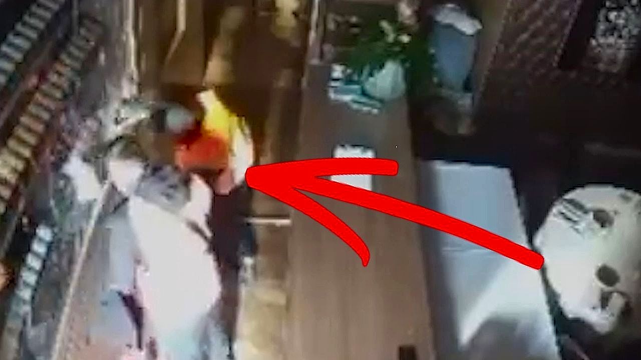 Thieves drill through restaurant glass to steal over $325,000 of rare ...