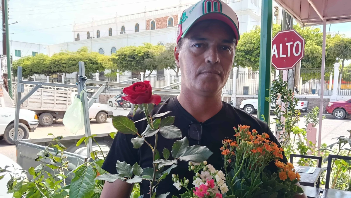 Navol Plant es el sueño de Lázaro que nació en Navolato entre macetas ...