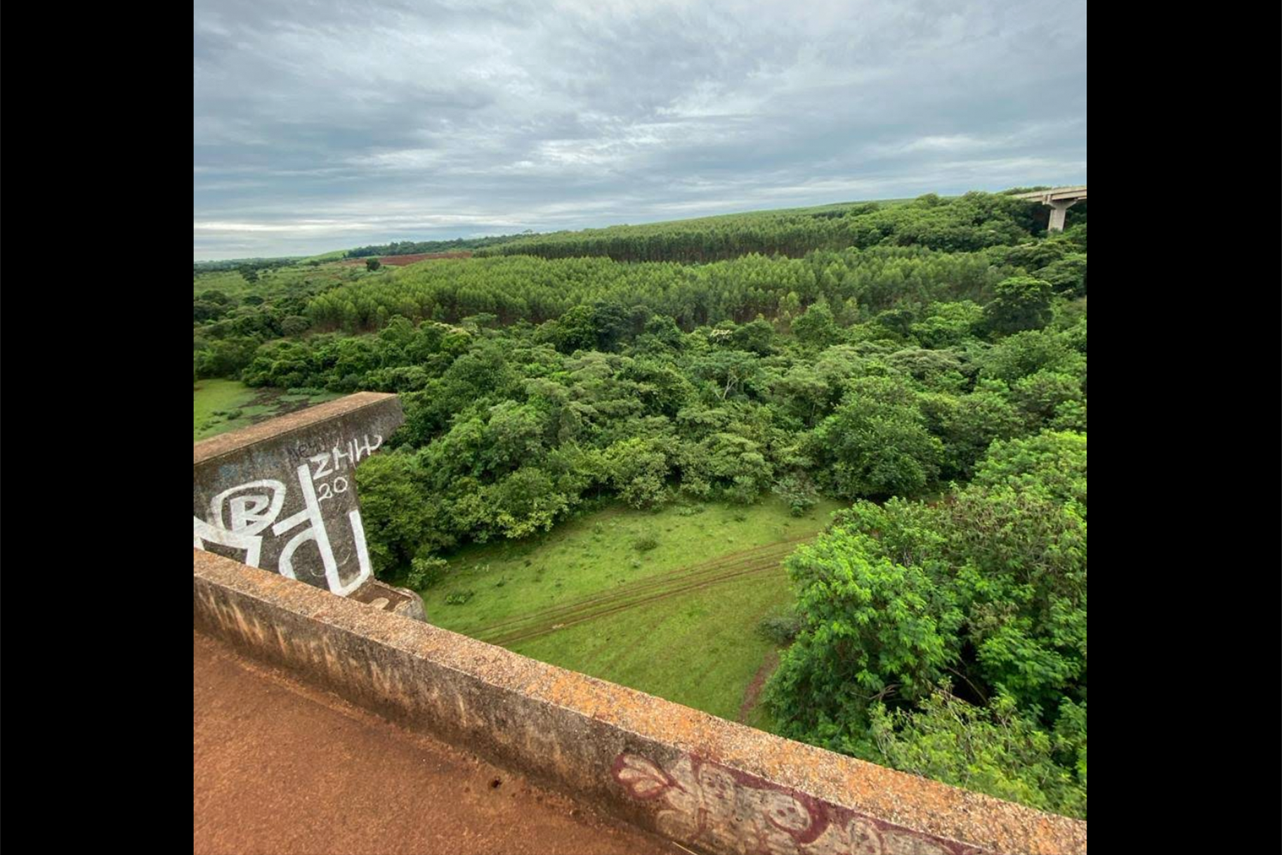Woman falls 131 feet to her death rope-jumping after operators ...