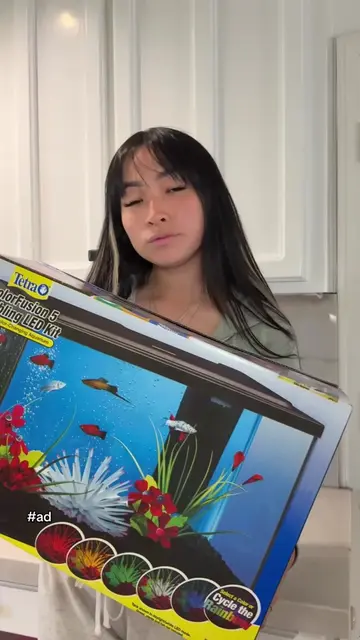 Watch me set up a dream betta tank for my new pet