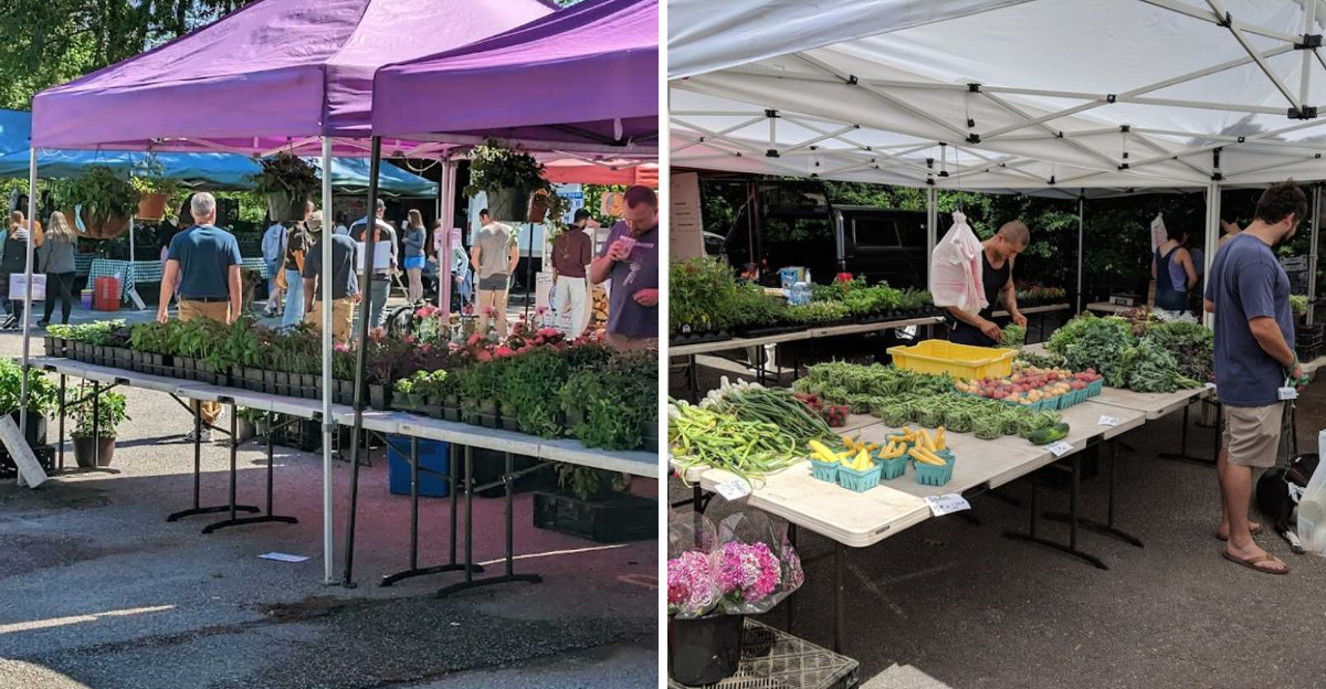 This sprawling Virginia open-air farmers’ market is a hidden gem for ...