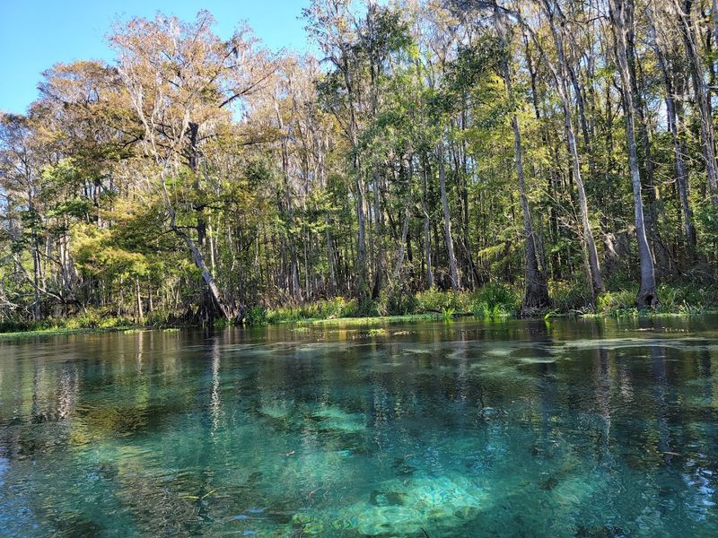 The crystal clear natural swimming paradise you need to experience this ...