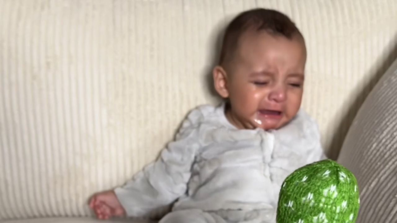 Viral dancing cactus toy interrupts baby’s tantrum as he becomes ...