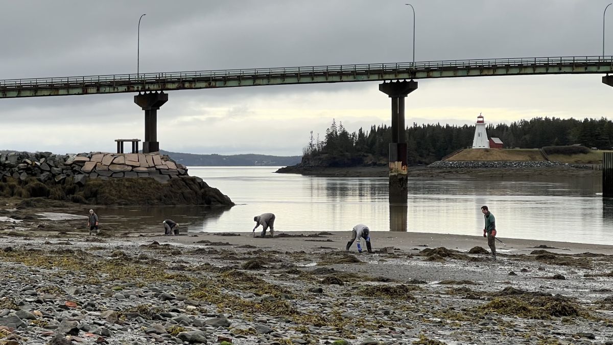 Lubec Shellfish Committee update: El Niño’s impact looms over Maine’s ...