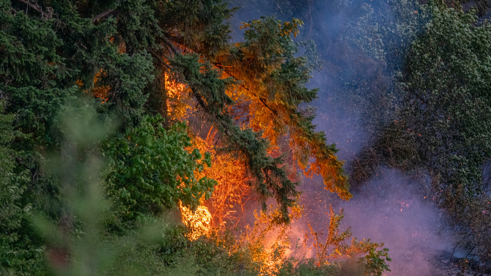All ODF districts enter fire season as Oregon officials urge wildfire ...