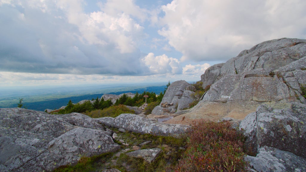 20-year-old hiker from Massachusetts dead after medical incident on New ...